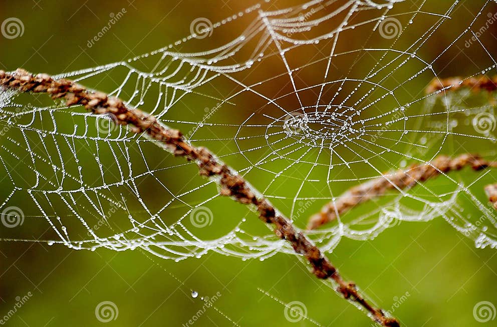 Wet Net 2 stock image. Image of dense, fear, ball, deep - 758867