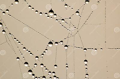 Wet Net 3 stock photo. Image of fantasy, black, cool, dense - 758874