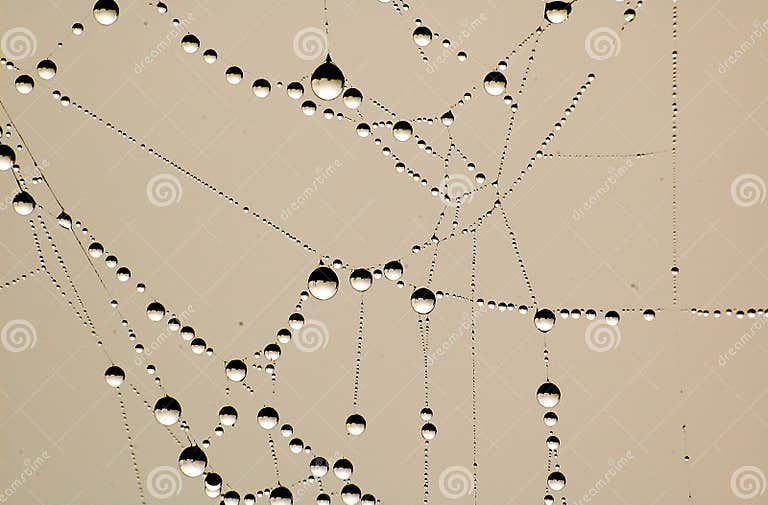 Wet Net 3 stock photo. Image of fantasy, black, cool, dense - 758874