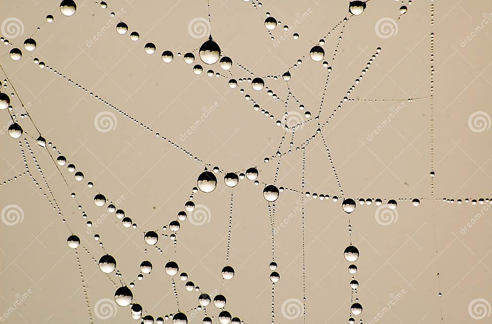 Wet Net 3 stock photo. Image of fantasy, black, cool, dense - 758874