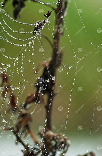Wet Net 4 stock photo. Image of circle, black, deep, bubble - 758878