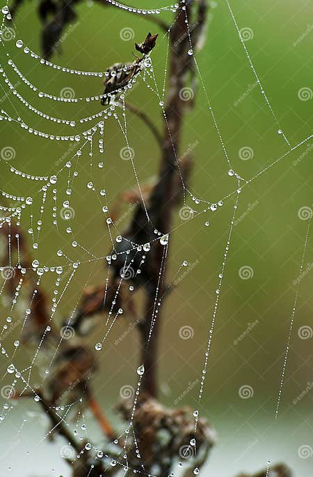 Wet Net 4 stock photo. Image of circle, black, deep, bubble - 758878