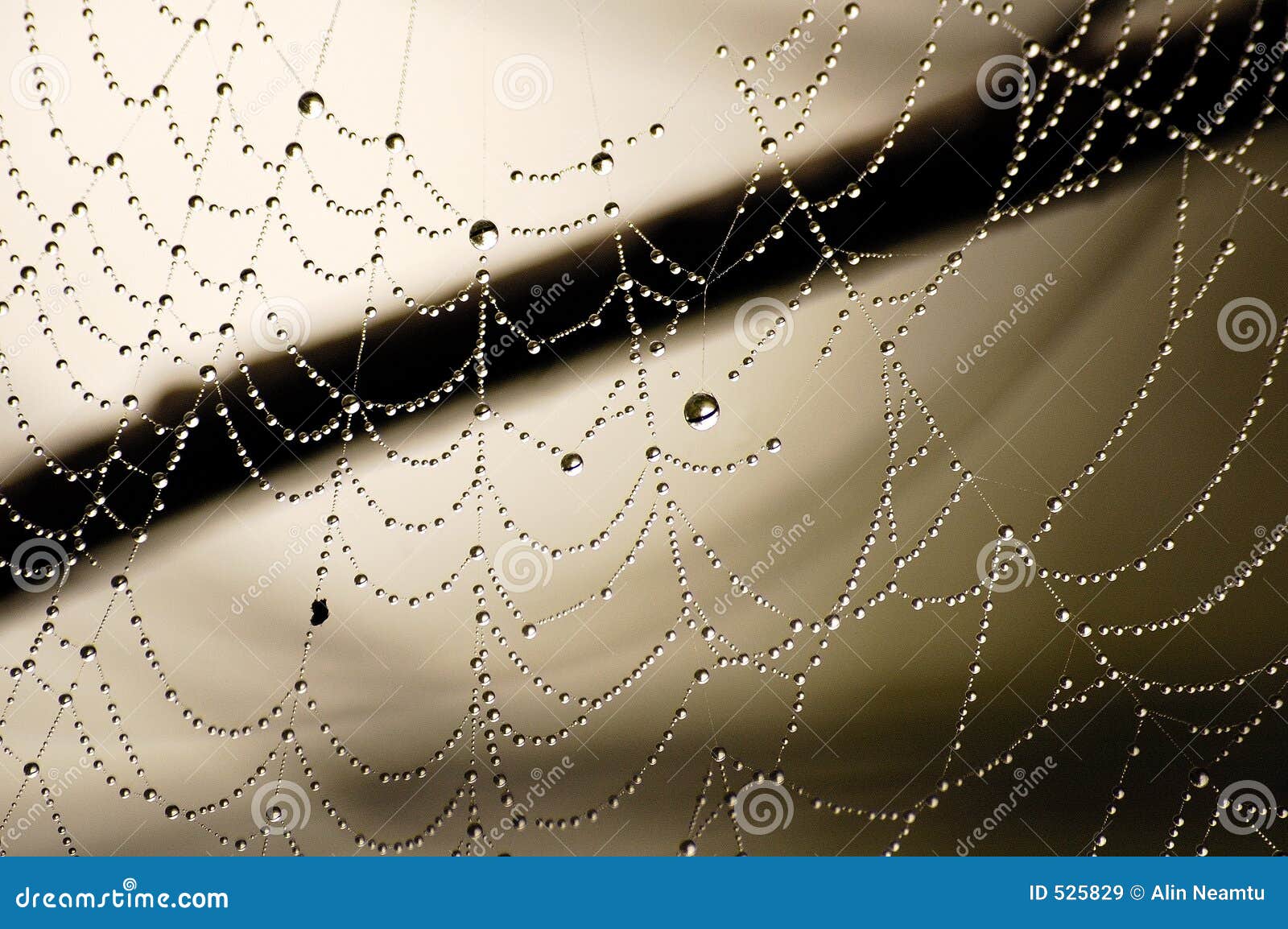 Wet Net stock image. Image of light, fluid, morning, aqua - 525829