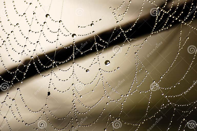 Wet Net stock image. Image of light, fluid, morning, aqua - 525829