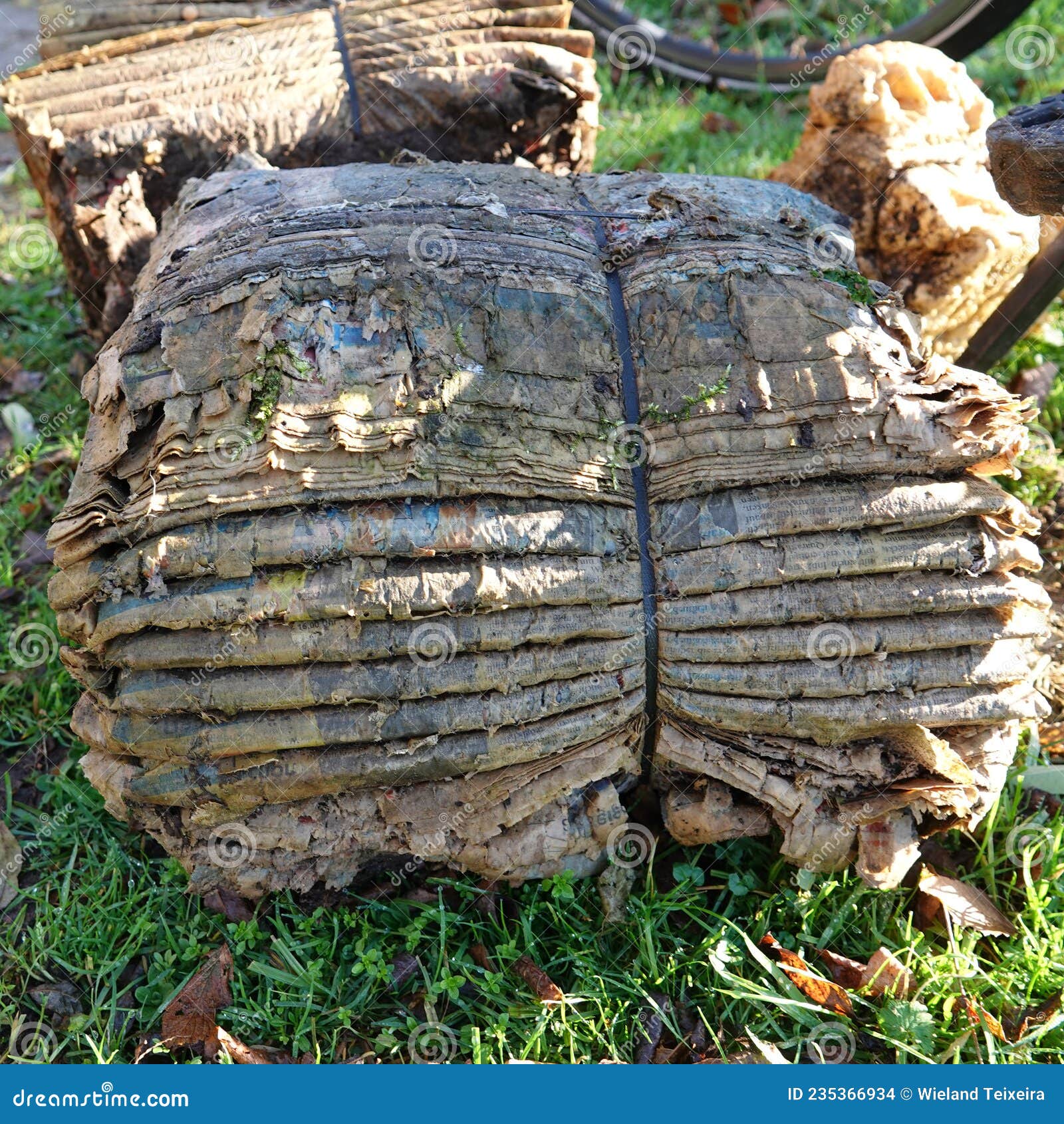 These Wet Newspapers are without Use, Just Waste Stock Photo - Image of ...