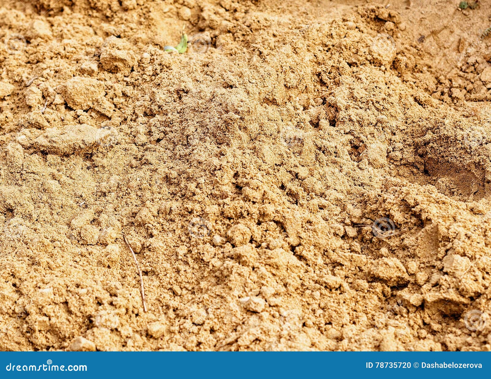 Wet nice sand stock photo. Image of closeup, yellow, season - 78735720