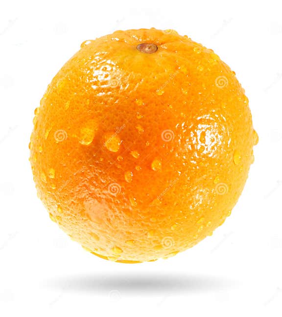 Wet orange stock photo. Image of delicious, eating, freshness - 8311784
