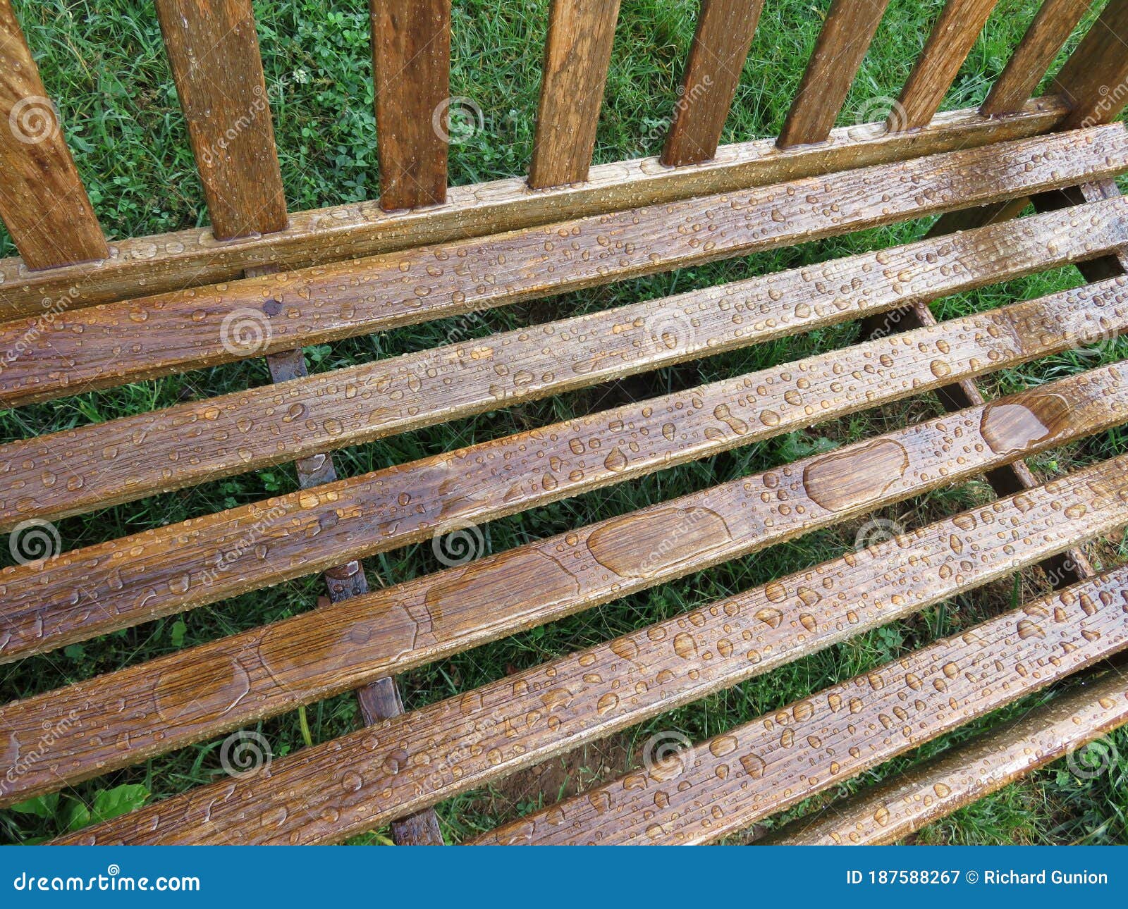 Wet Park Bench in the Rain stock image. Image of bench - 187588267
