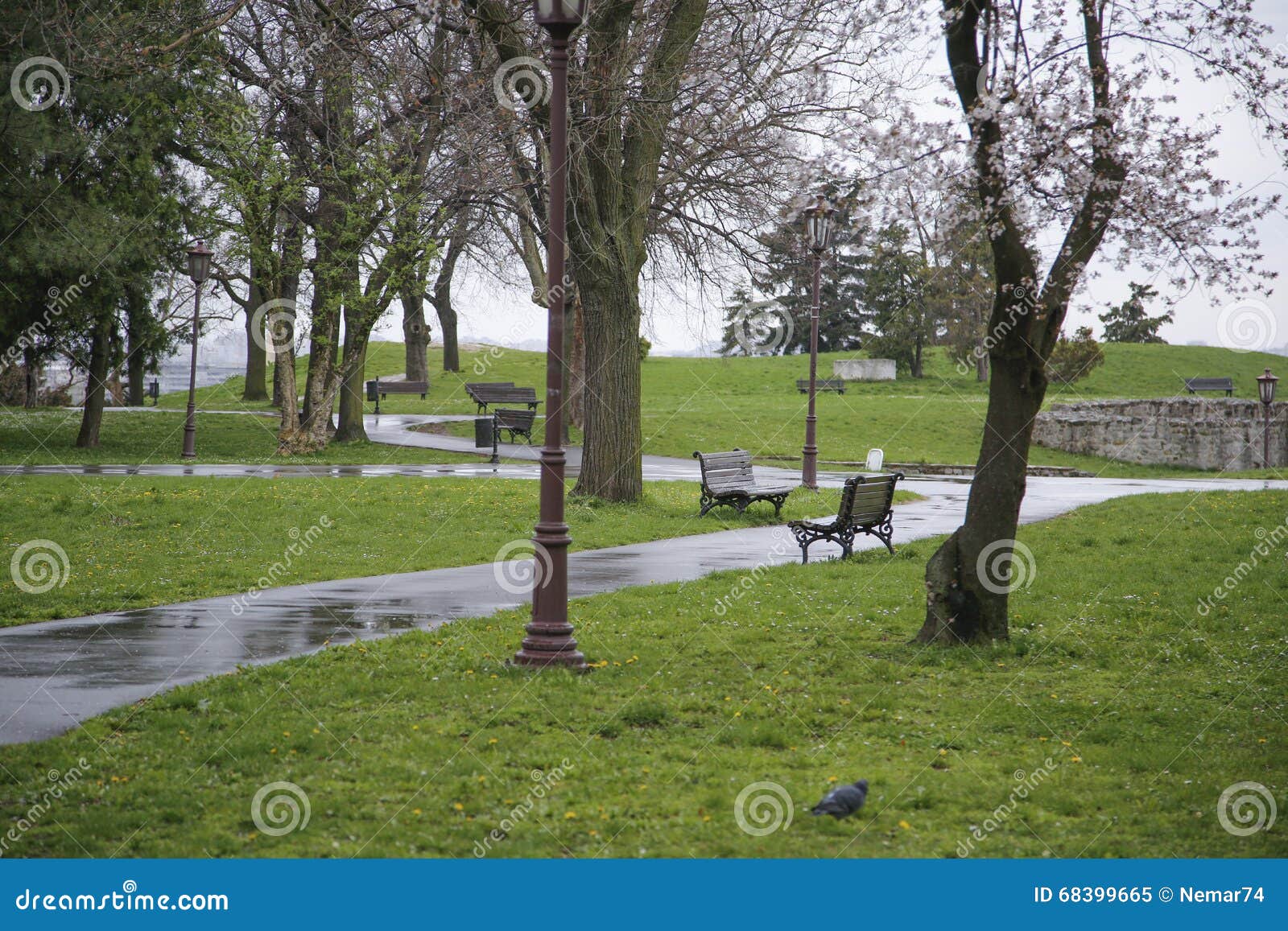 Wet Park Path with Bench in Nature Stock Image - Image of rainy, lane ...