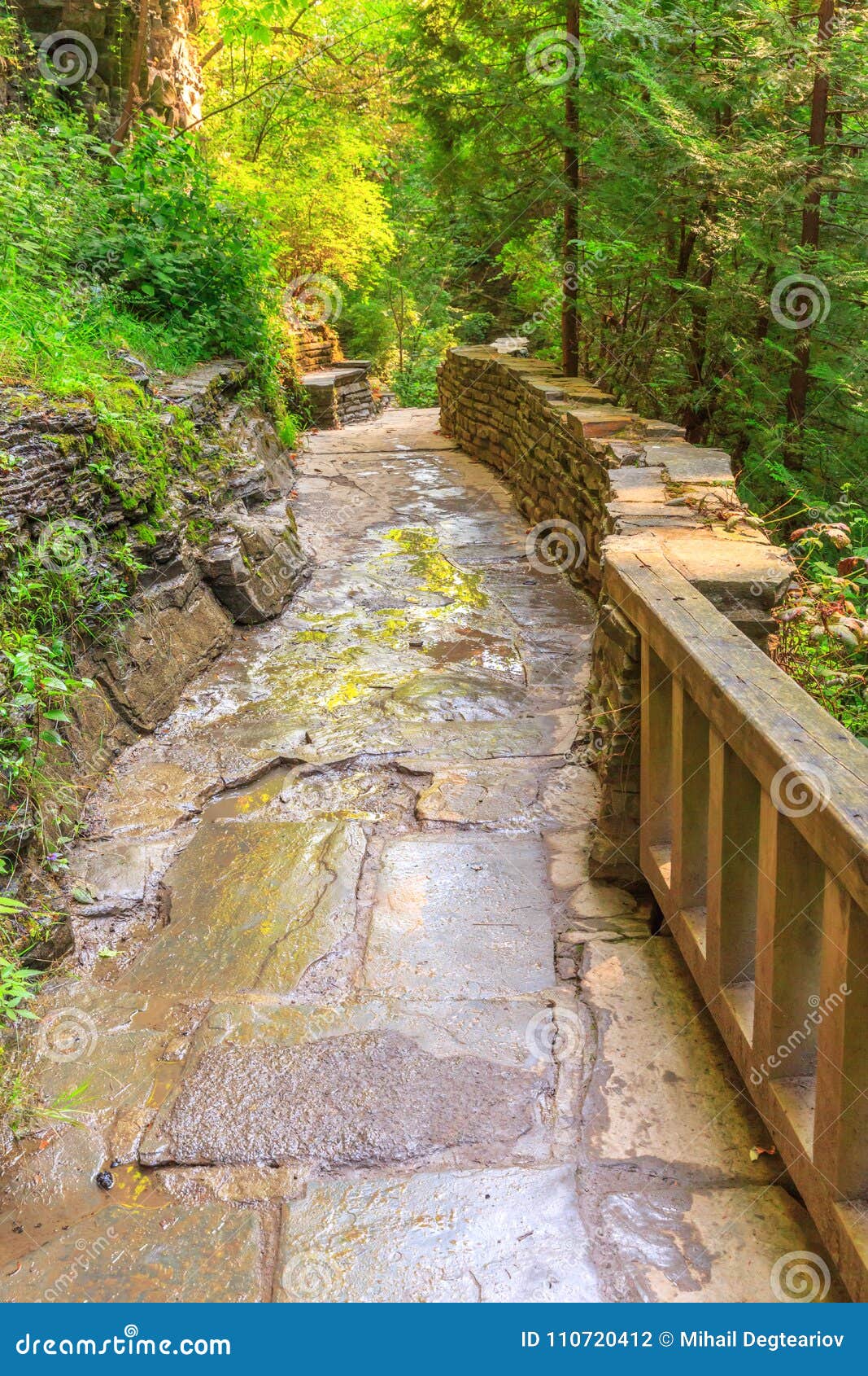 Wet Passageway stock photo. Image of trees, reflection - 110720412