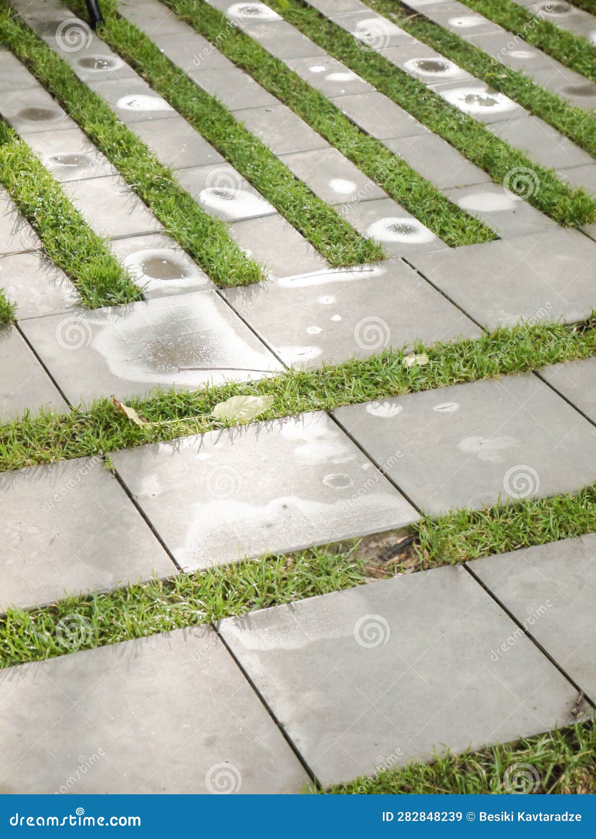Wet Path with Concrete Tiles Stock Image - Image of plant, grass: 282848239