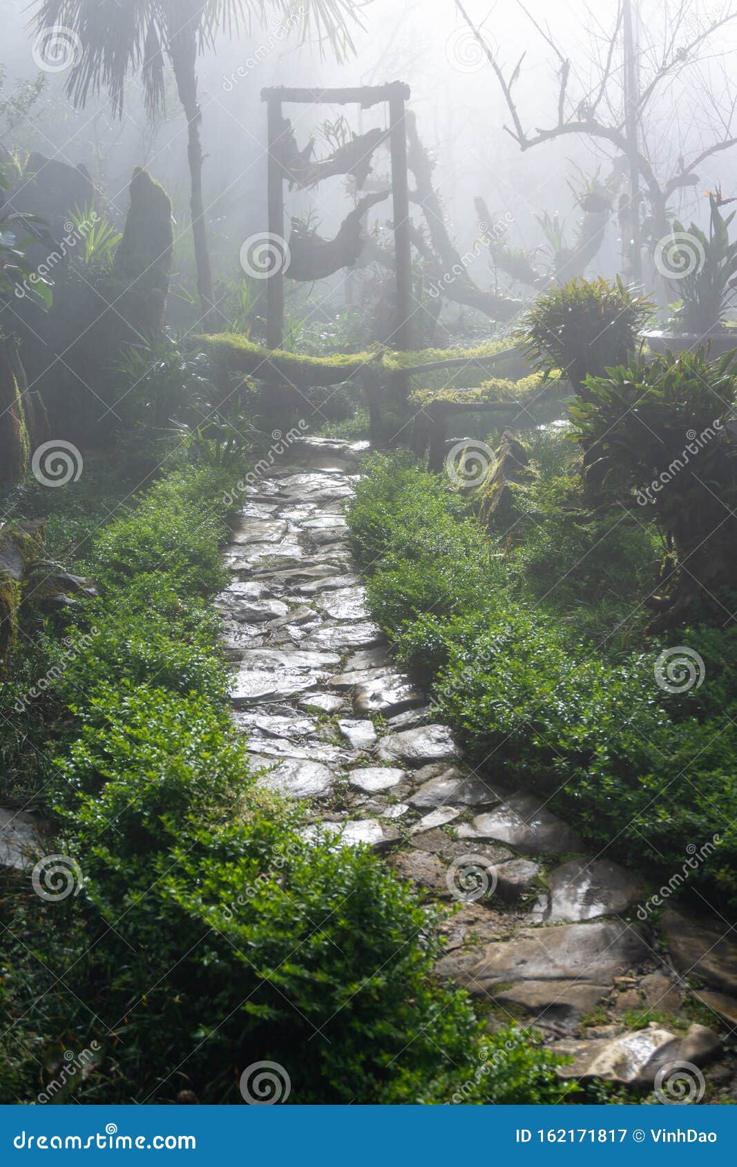 Wet Path in the Garden or Forest with Mist Stock Image - Image of ...