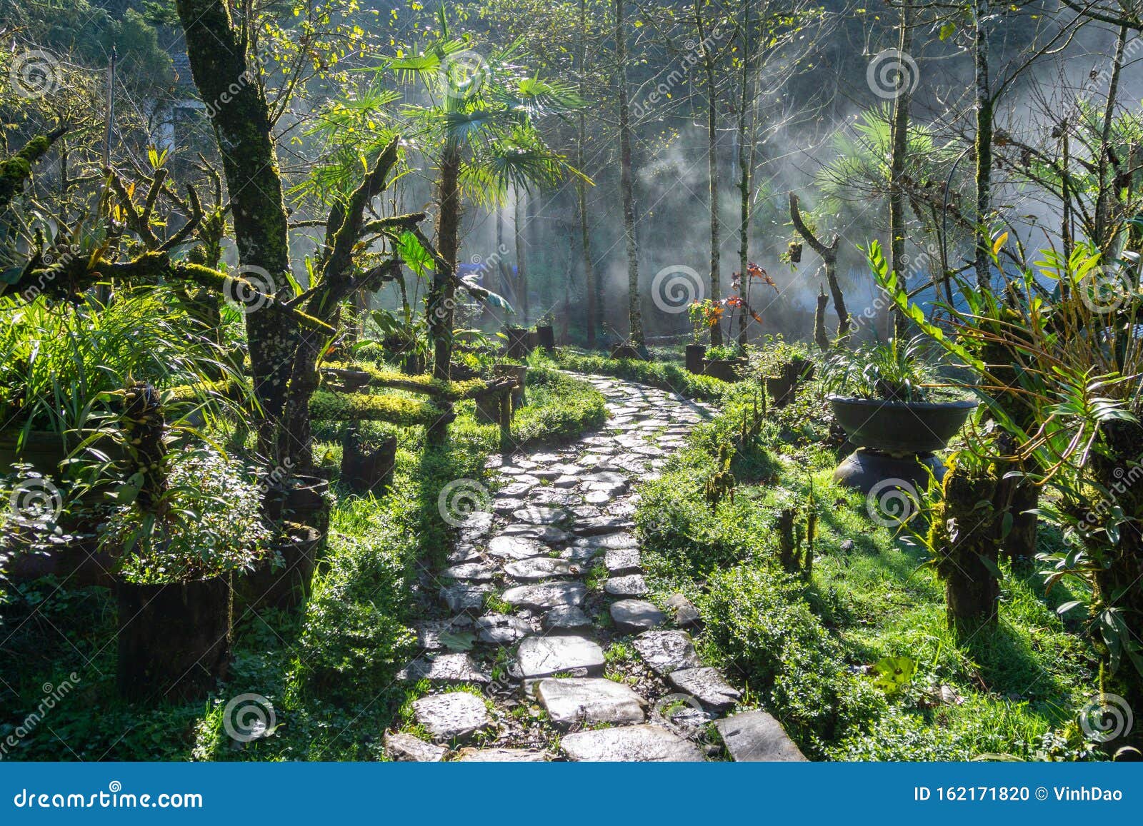 Wet Path in the Garden or Forest with Mist Stock Photo - Image of rock ...