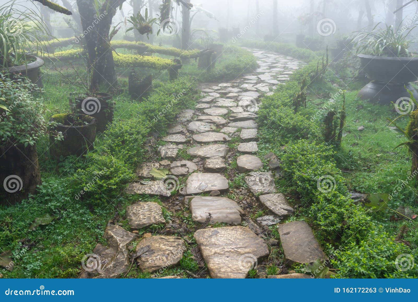 Faint Path Through Thick Ferns To Three Ships Gritstone Outcrop Royalty ...