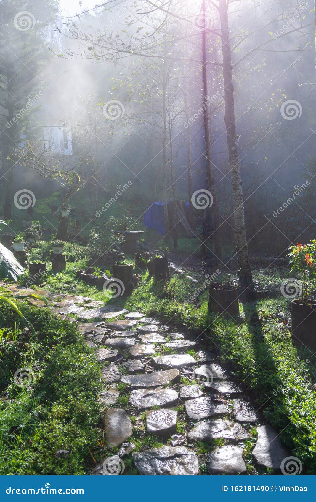 Wet Path in the Garden or Forest with Mist Stock Photo - Image of ...