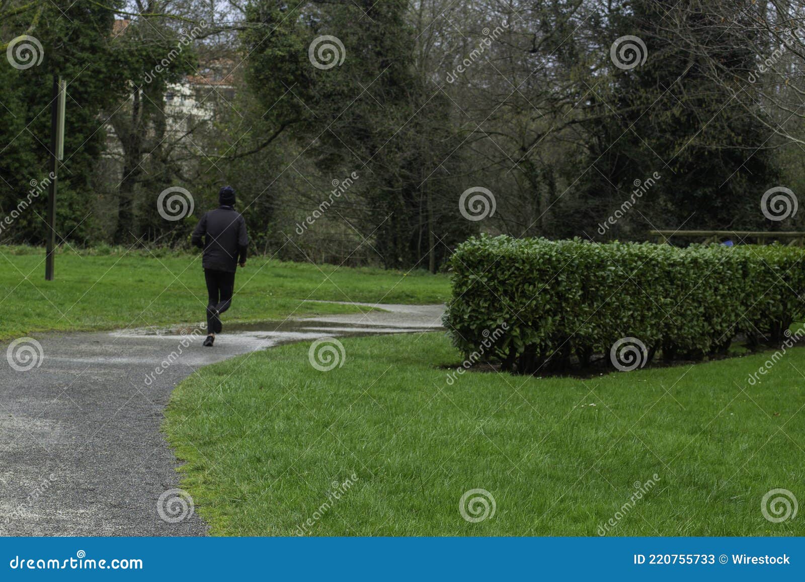Wet road through the grass stock image. Image of landscape - 220755733