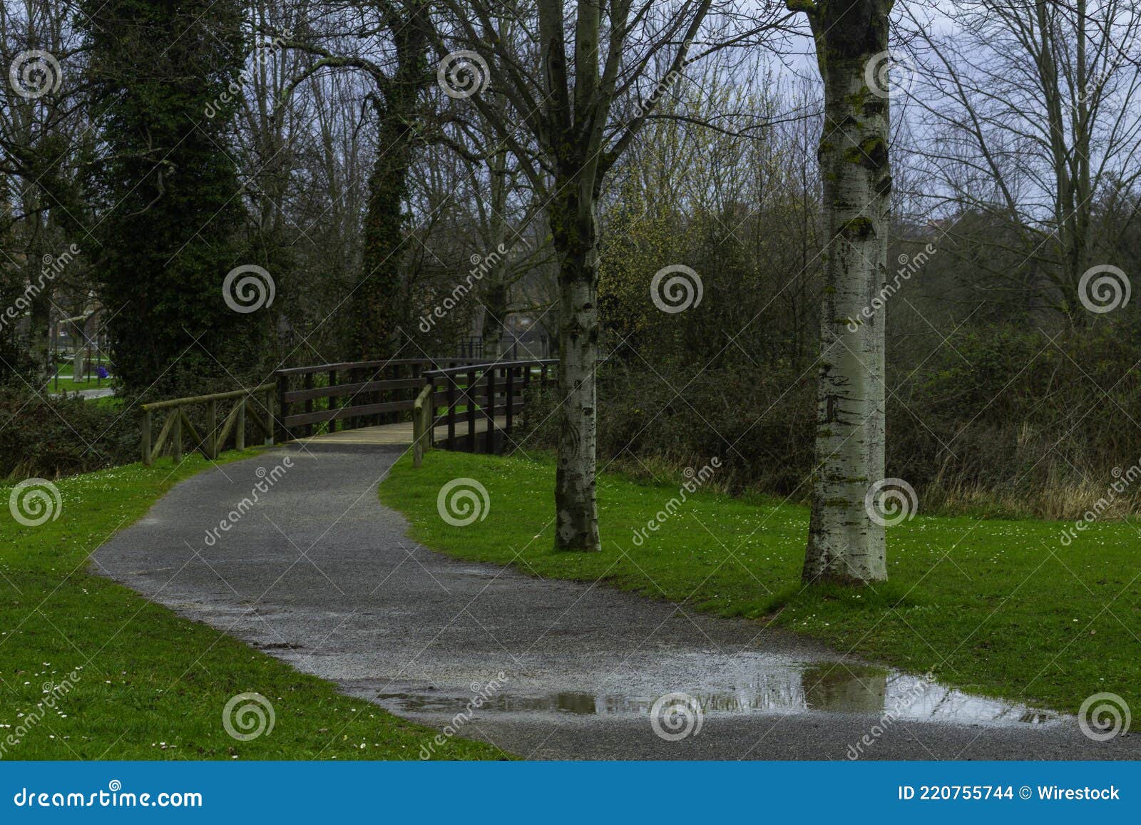 Wet road through the grass stock photo. Image of landscape - 220755744