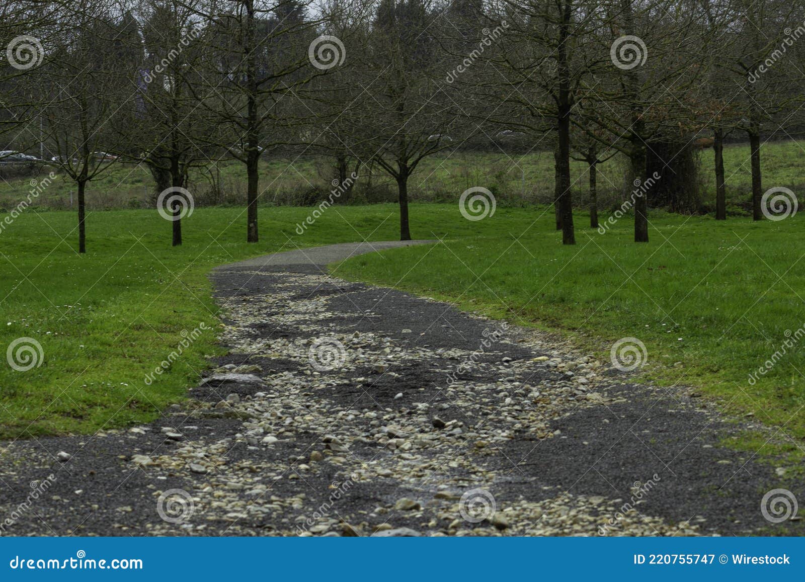 Wet road through the grass stock image. Image of people - 220755747