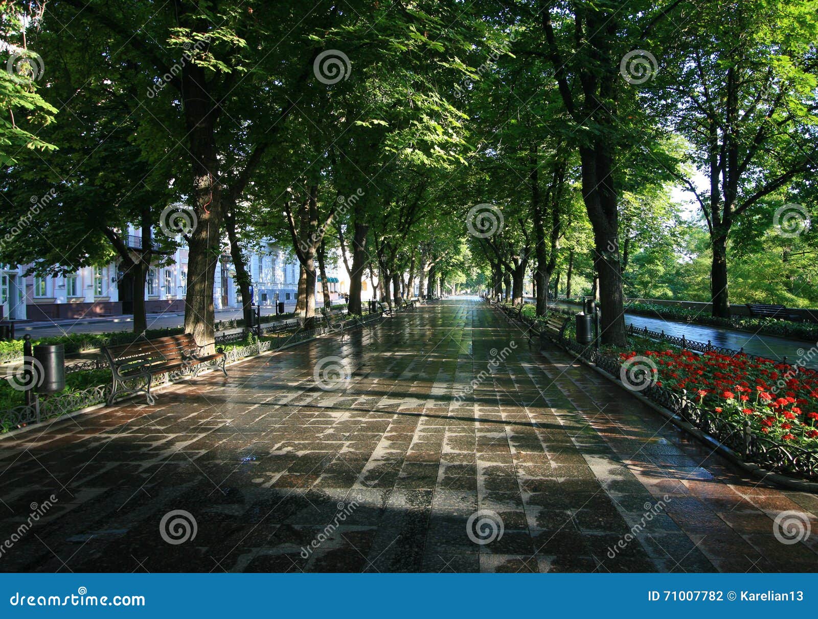 Wet Path through the Morning Park Stock Photo - Image of horizontal ...