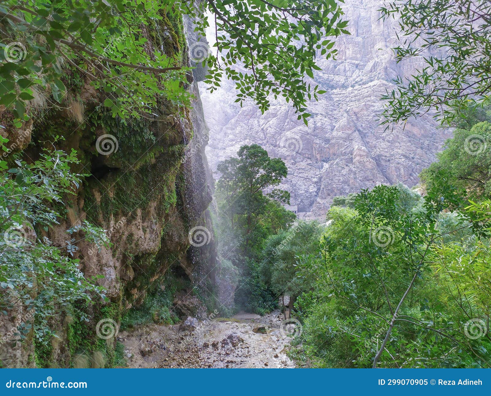 A Wet Path in the Mountains Stock Image - Image of waterfall ...
