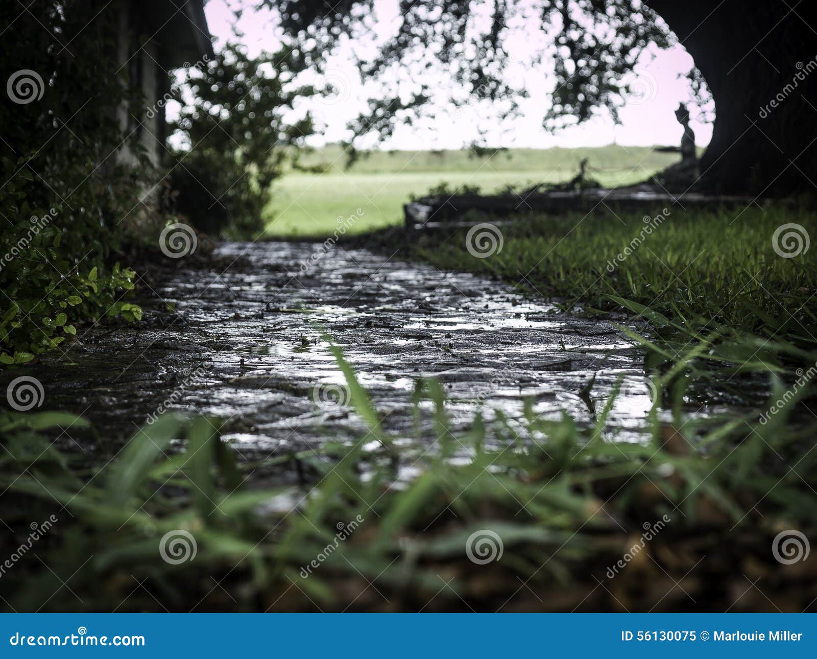 Wet path stock image. Image of distance, blur, background - 56130075
