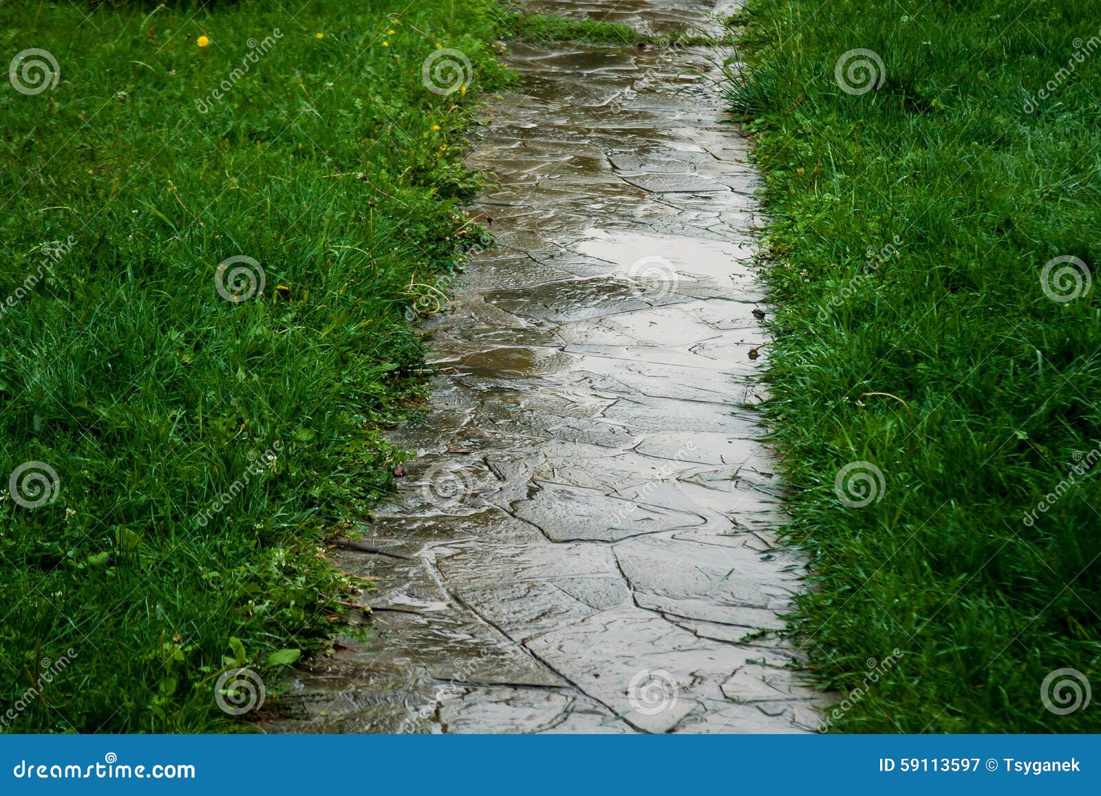 Wet pathway in the park stock image. Image of water, lane - 59113597