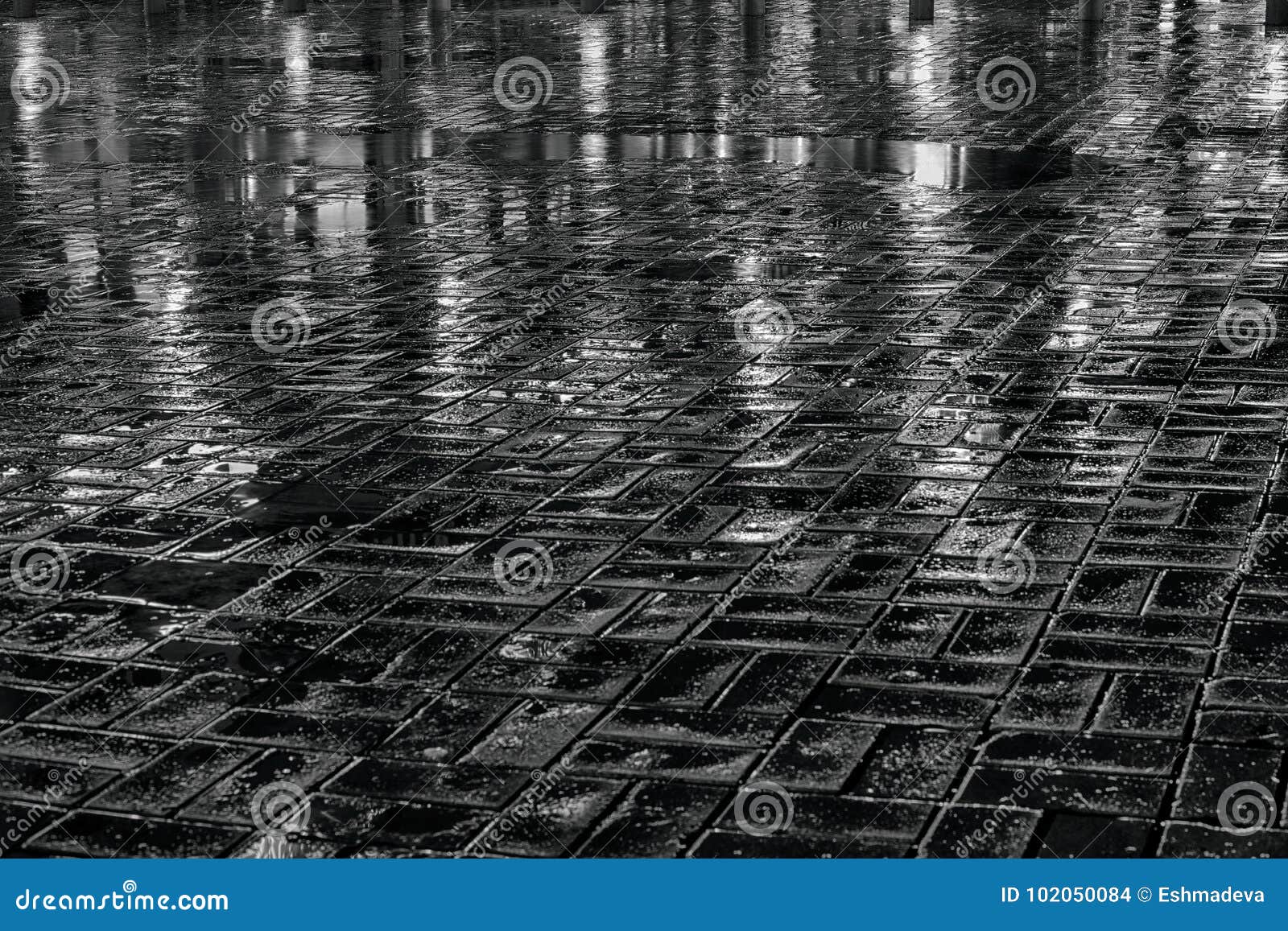 Wet pavement at night stock photo. Image of white, light - 102050084