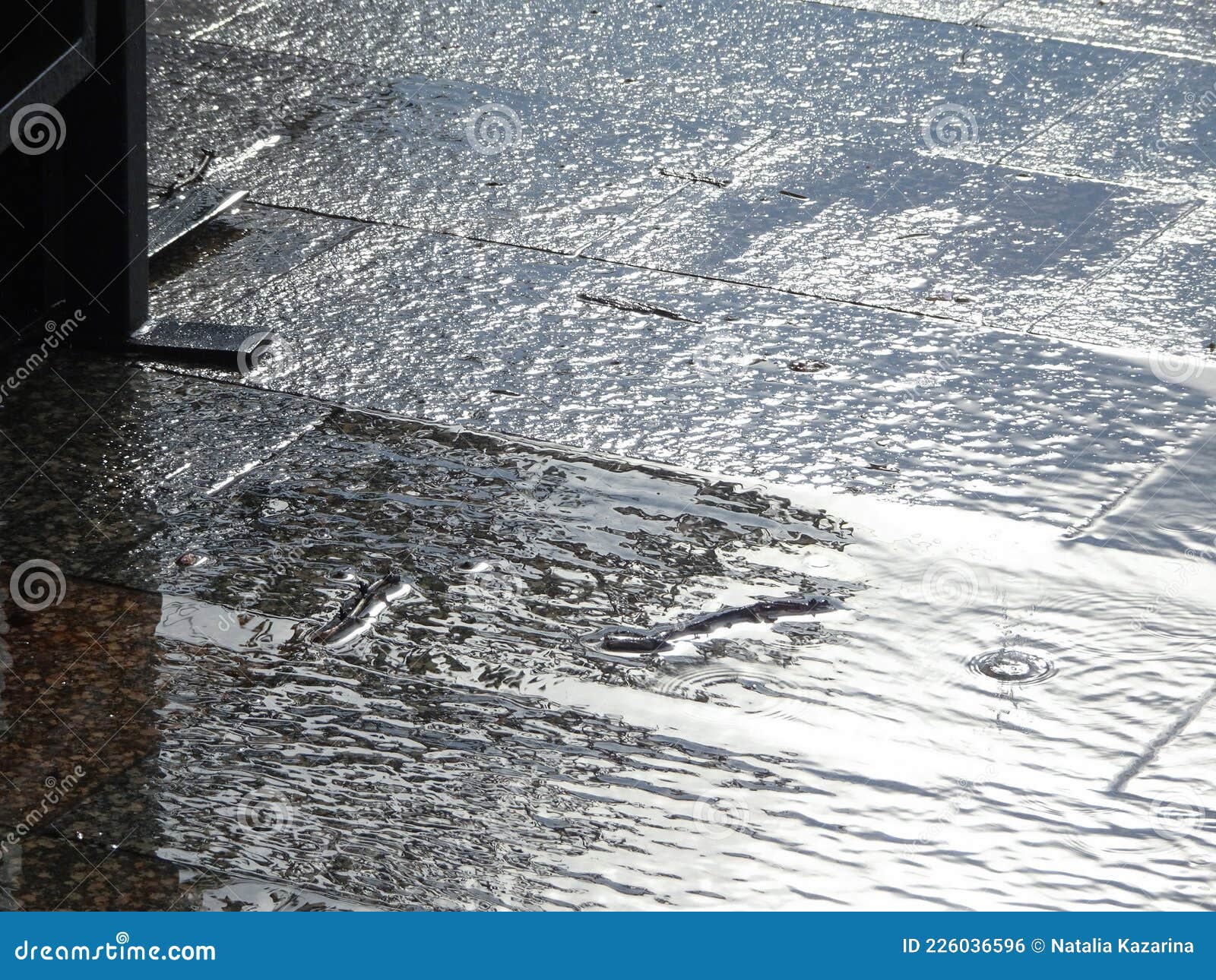 Wet Pavement Slabs in Summer Rain. Quality Photo Stock Photo - Image of ...