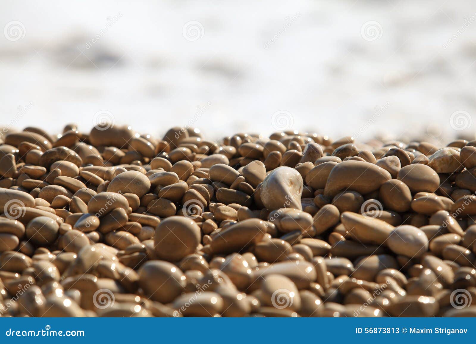 Wet Pebble Against a Sea Surf Stock Image - Image of pebble, shingly ...