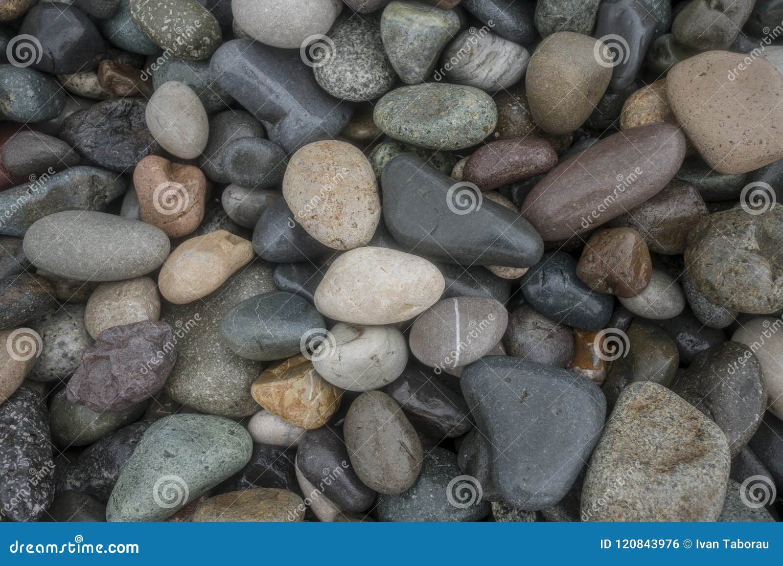 Wet Pebble on Beach Abstract Pattern Texture Background Stock Photo ...