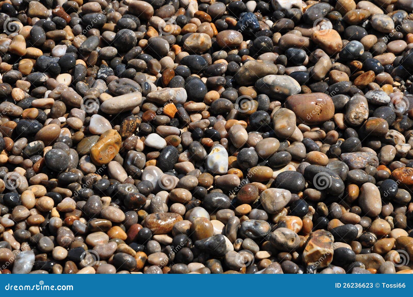 Wet pebble stone stock image. Image of nature, black - 26236623