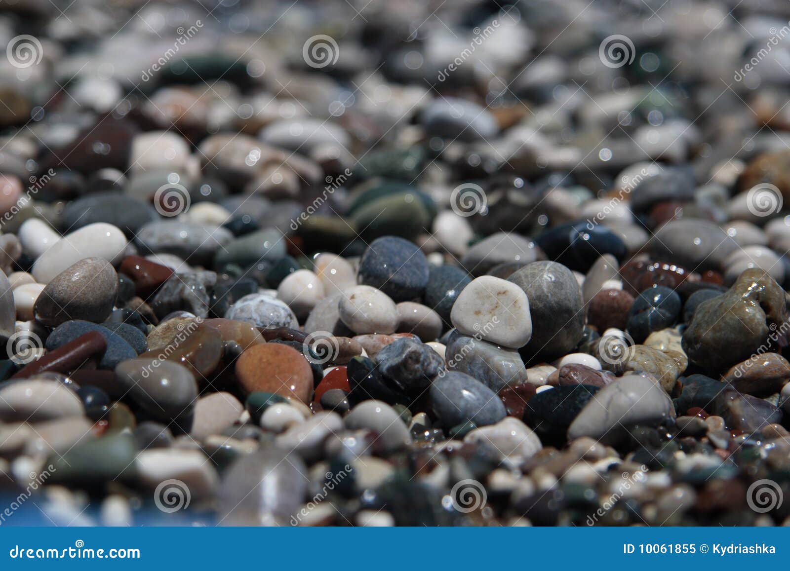Wet pebbles stock image. Image of gray, group, detail - 10061855