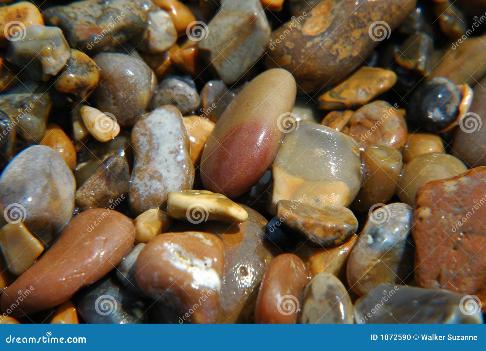 Wet Pebbles stock photo. Image of sunlight, purity, patterns - 1072590