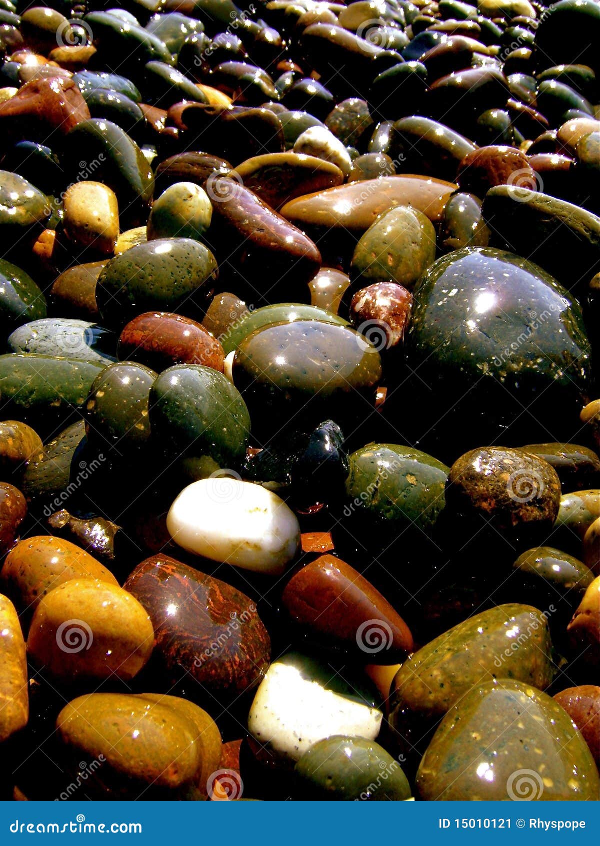 Wet Pebbles stock image. Image of coastal, green, coastline - 15010121