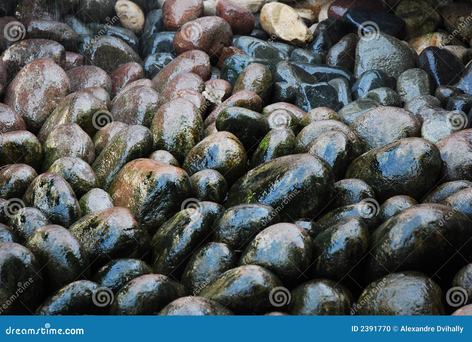 Wet Pebbles stock photo. Image of glisten, natural, nature - 2391770