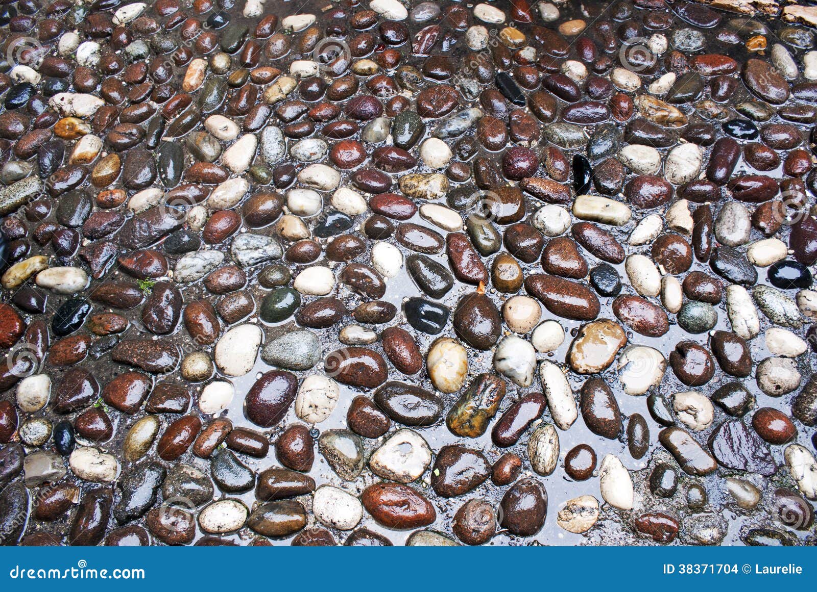 Wet pebbles stock photo. Image of natural, brick, ground - 38371704