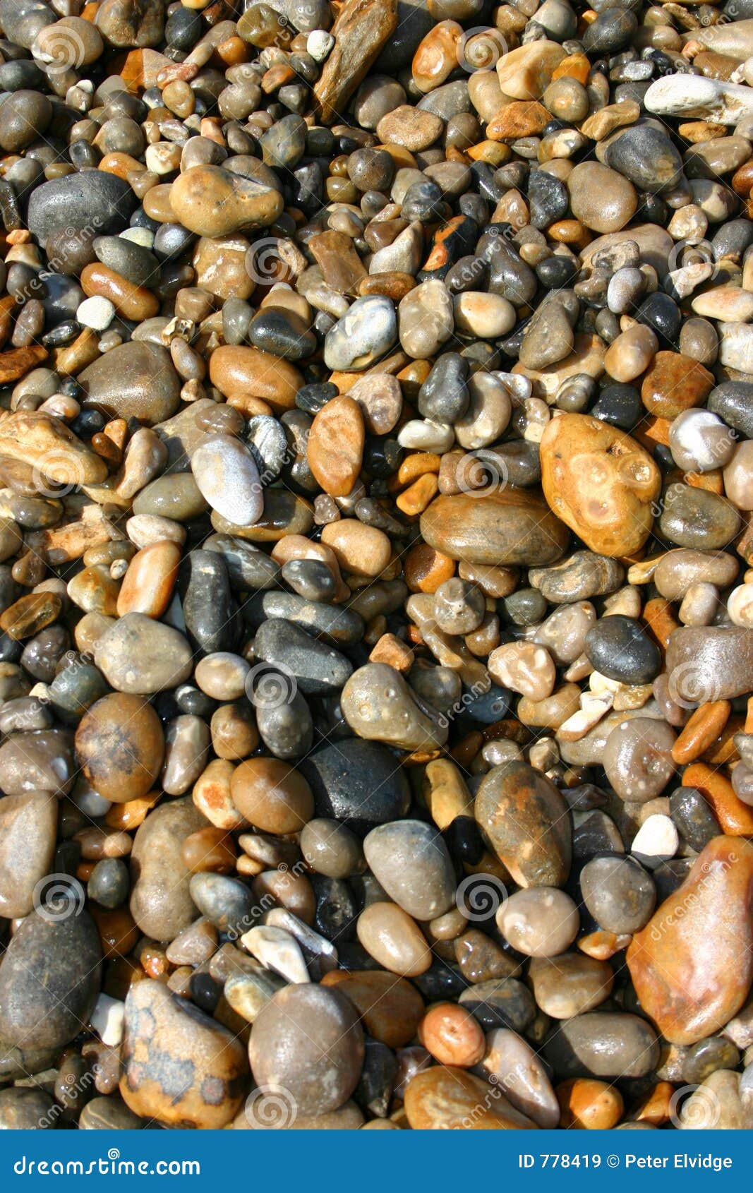 Wet pebbles stock image. Image of seashore, pattern, beach - 778419