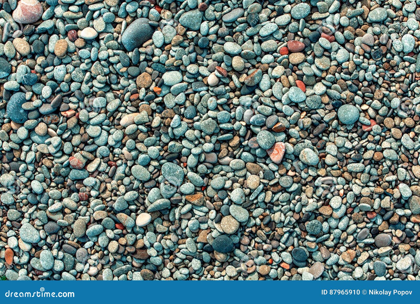 Wet pebbles on the beach. stock photo. Image of color - 87965910