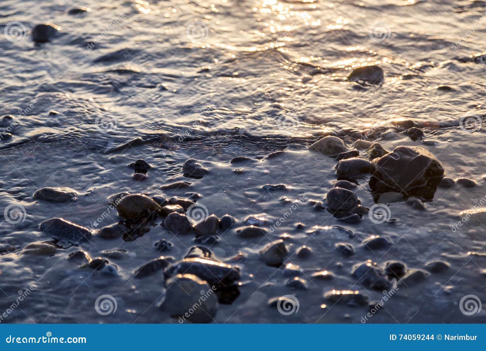 Wet pebbles at the sunset stock photo. Image of ocean - 74059244