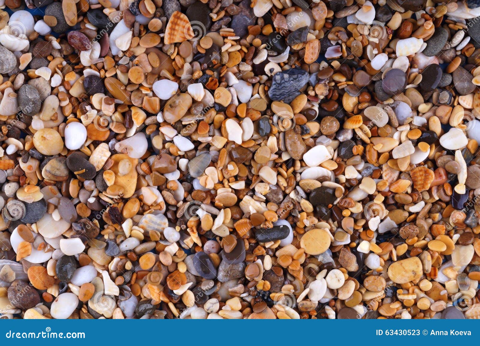 6,781 Pebbles Top View Stock Photos - Free & Royalty-Free Stock Photos ...