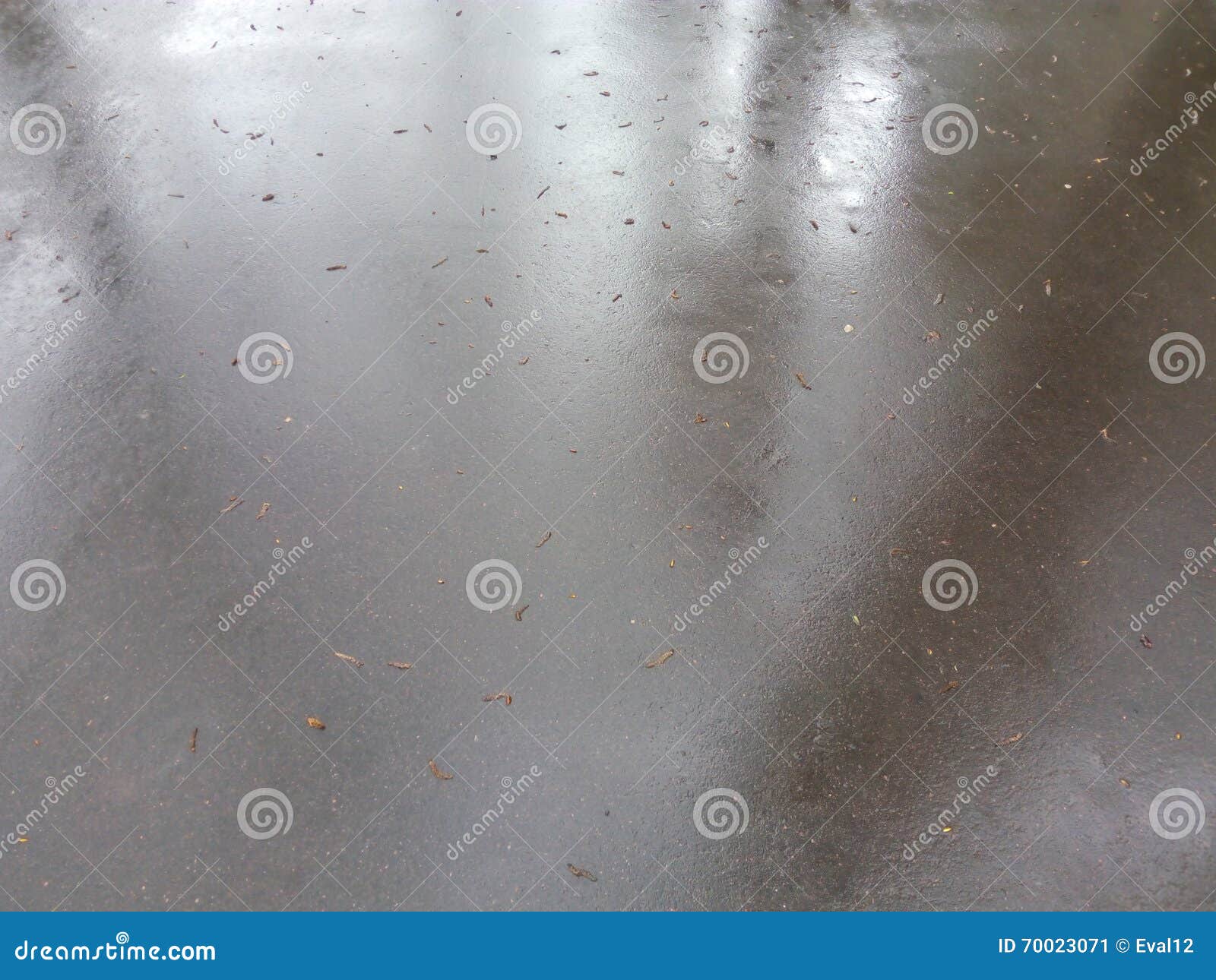 Wet Pedestrian Pavement on a Rainy Spring Day Stock Image - Image of ...