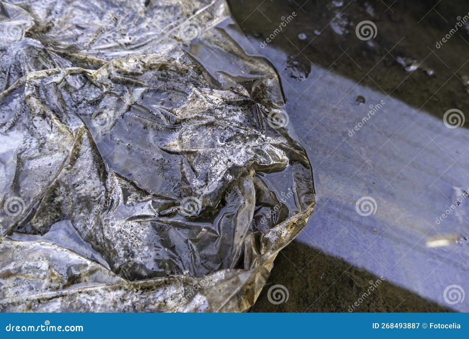 Wet plastic in the trash stock image. Image of rubbish - 268493887