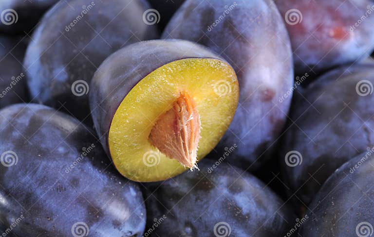 Wet plums stock photo. Image of fruit, isolated, calorie - 45273898