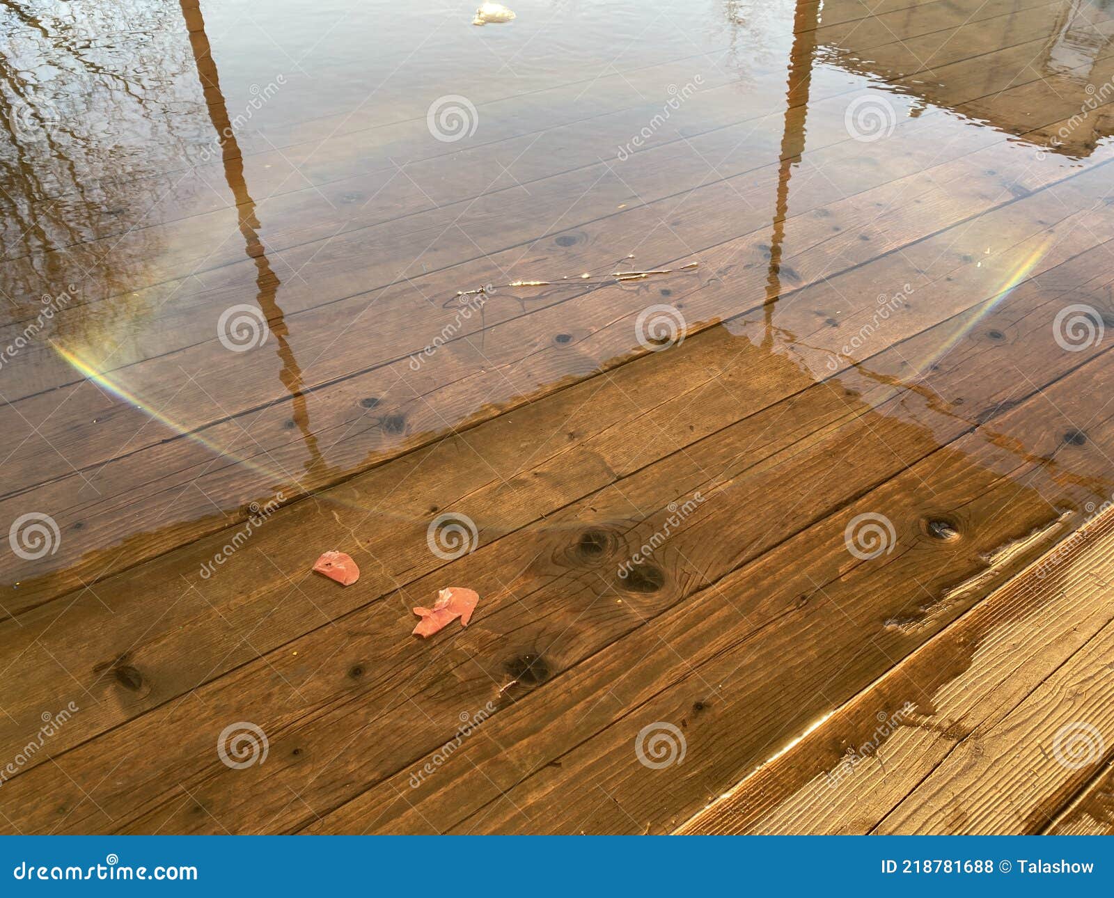 Wet Puddle on the Wooden Floor Stock Photo - Image of smooth, textured ...