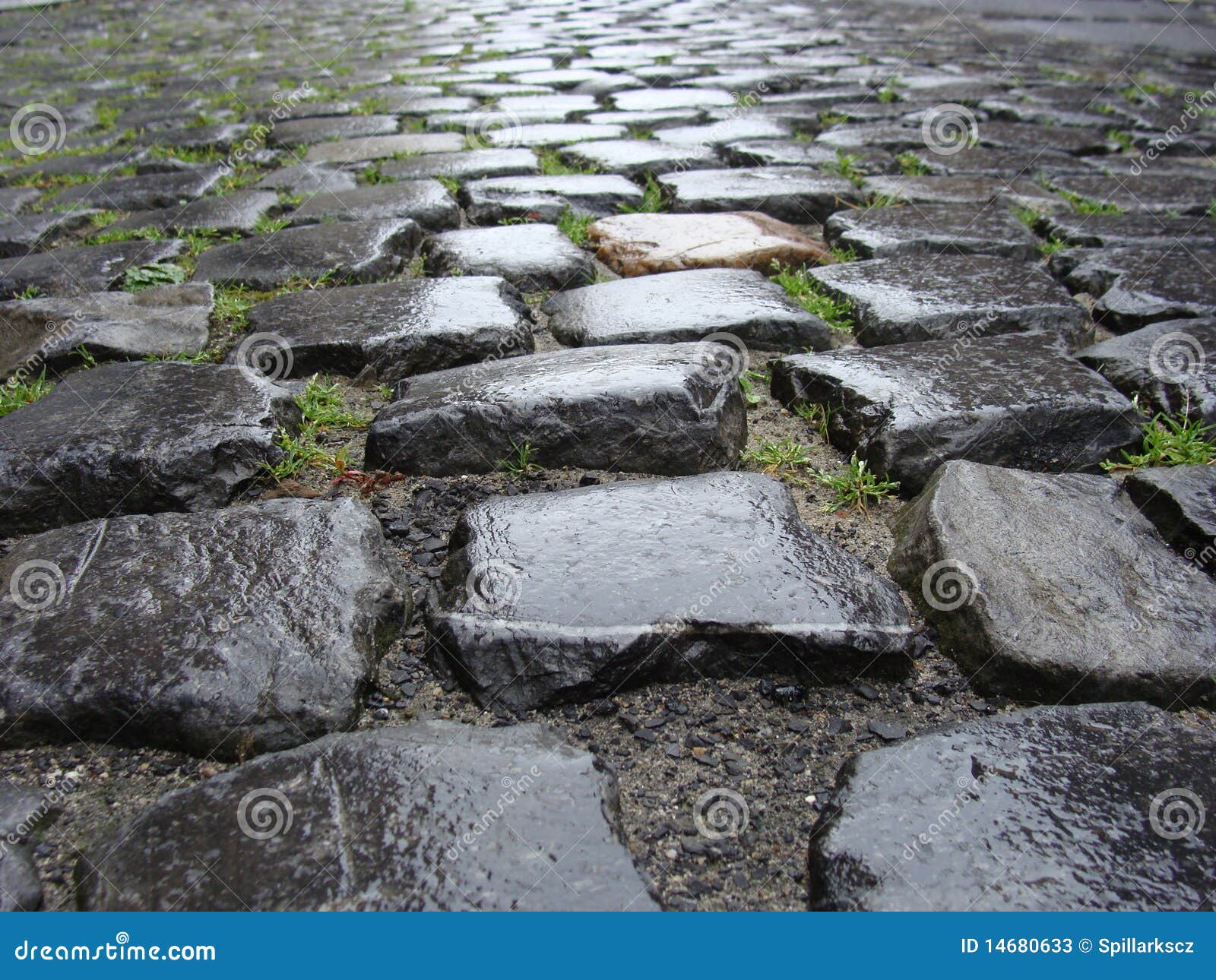 Wet from Rain Flemish Belgian Cobble Stone Stock Image - Image of road ...