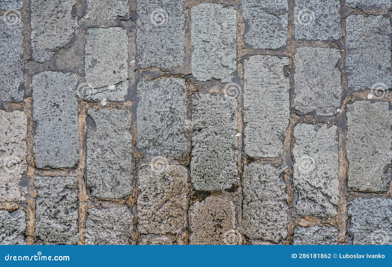 Wet Rectangular Cobble Stone Road, Texture Photographed from Above ...