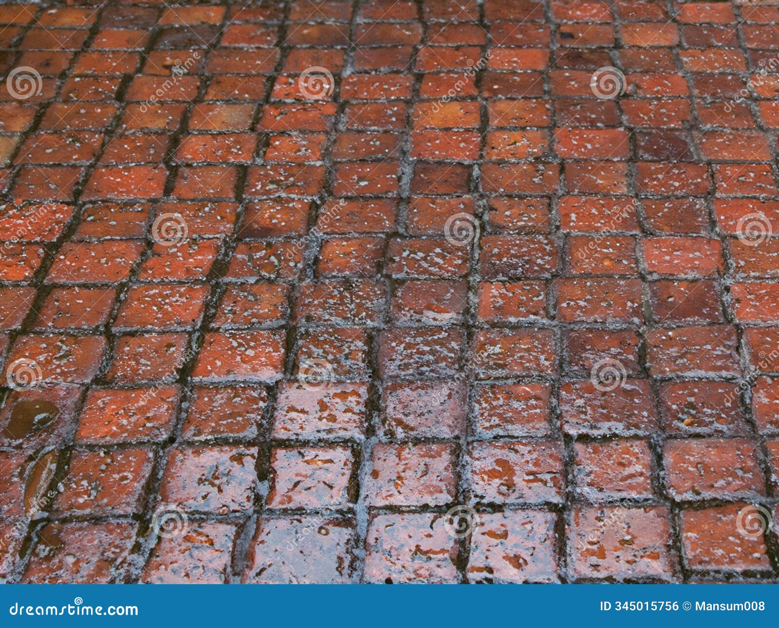 Pavement Texture Of Regularly Smooth Stones 0032 Stock Photo ...