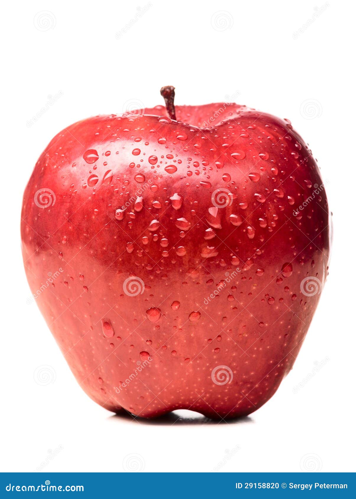 Wet red delicious apple stock photo. Image of fruit, white - 29158820
