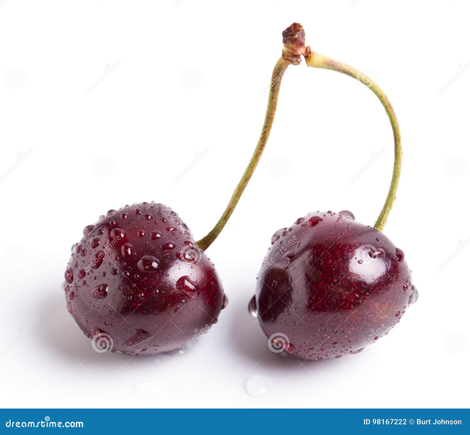Red Cherry Stem Micrograph Royalty-Free Stock Photography ...