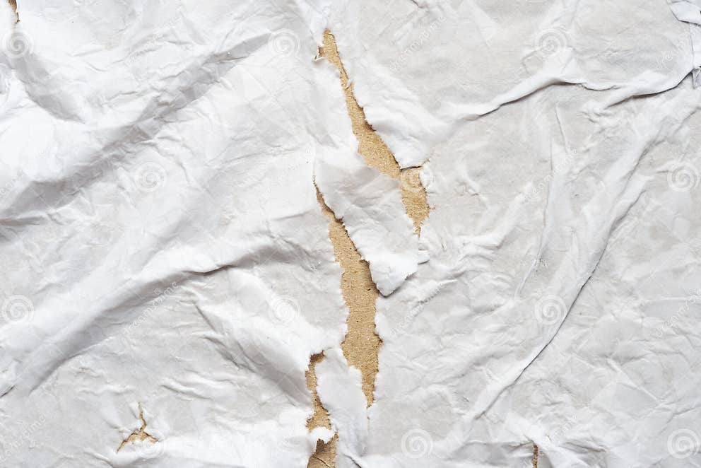 Wet Ripped Paper Texture. Empty Torn Wet Paper Sheet with Surface ...